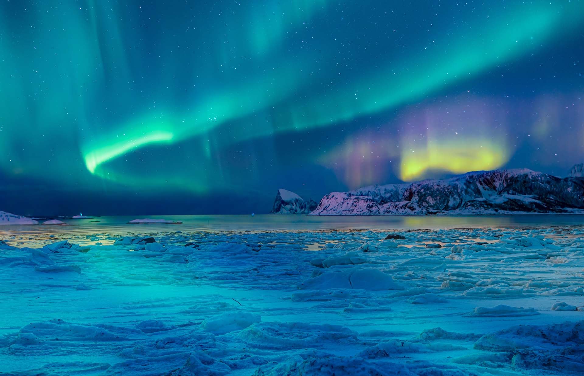 Visiting Tromsø in December | 14 Best Things to Do in Tromsø in December